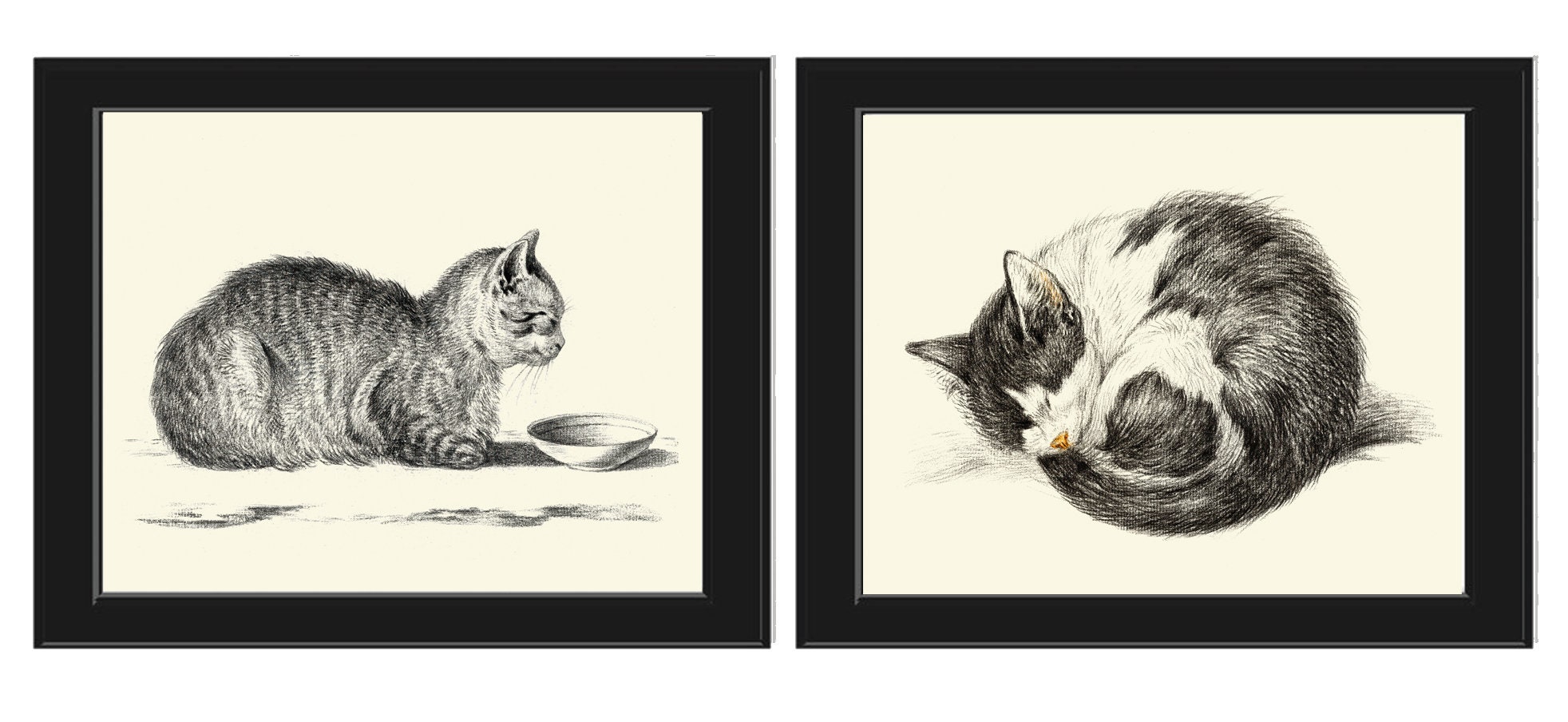 Cat Cute Animal Prints Wall Art Set of 2 Print Beautiful | Etsy