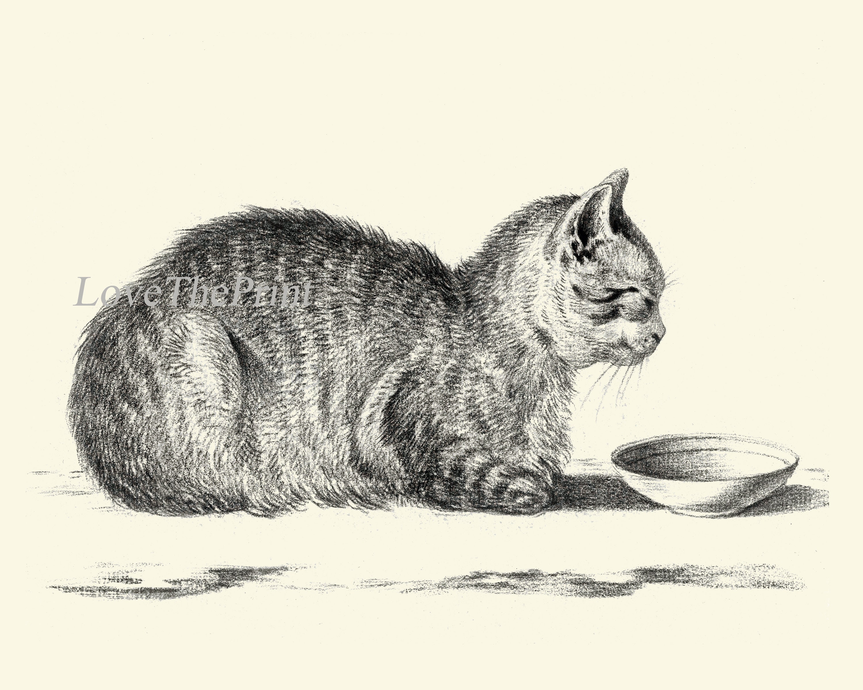 Cat Cute Animal Prints Wall Art Set of 2 Print Beautiful | Etsy