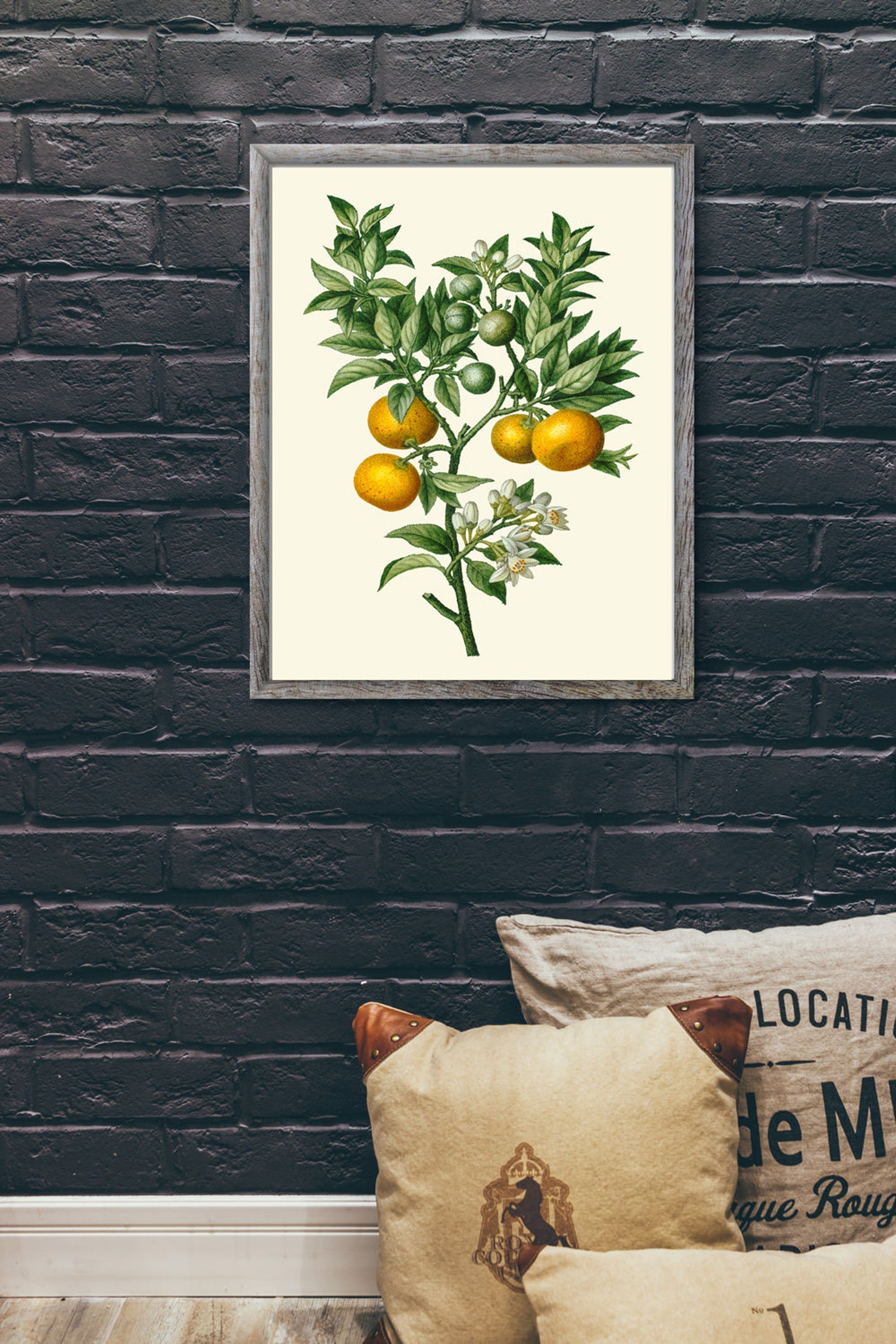 Citrus Print Wall Art TDA11 Beautiful Antique Botanical Tangerine ...