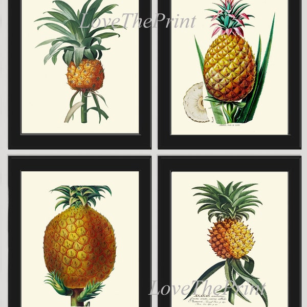 Pineapple Frame - Etsy