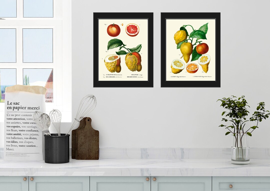 Citrus Lemon Orange Prints Wall Art Print Set of 2 Beautiful Antique ...
