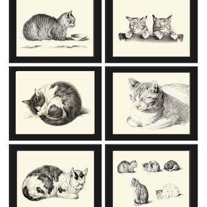 Cat Cats Kitten Animals Wall Art Prints Set of 6 Beautiful - Etsy