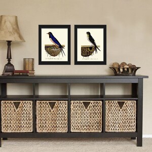 Barn Swallow Bird Nest Print Wall Art Set of 2 Prints - Etsy