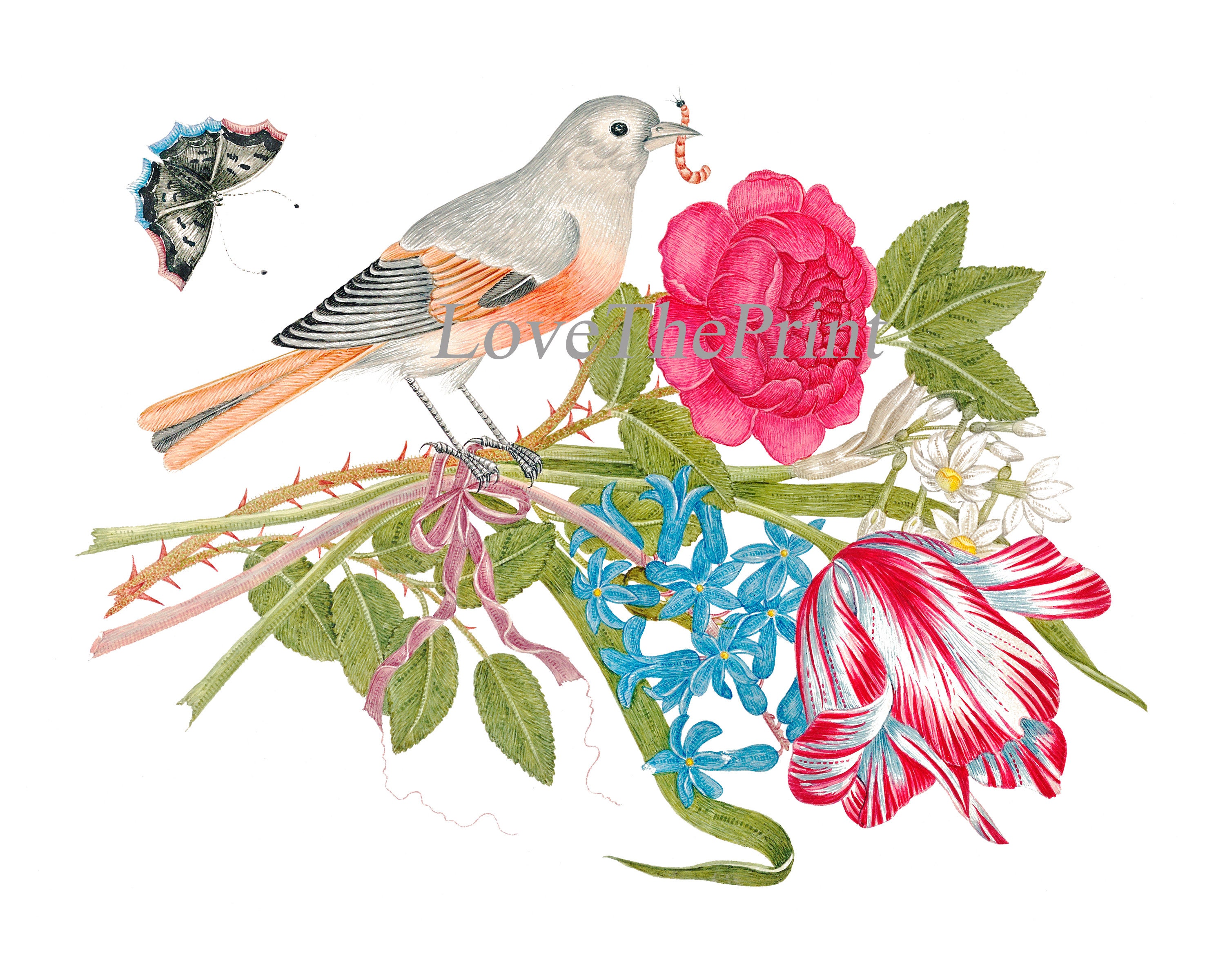 Bird Print Wall Art BOT9 Beautiful Antique Large Bird | Etsy