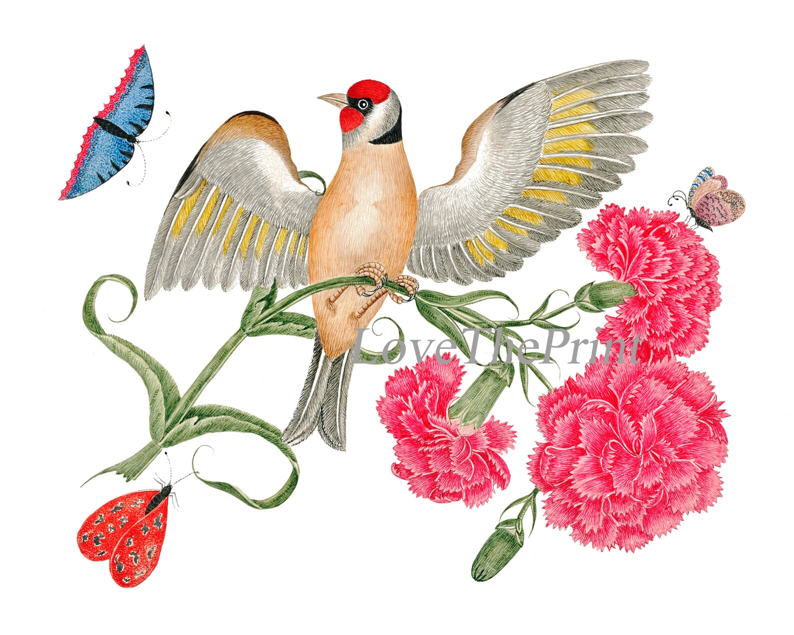 Bird Prints Botanical Wall Art Set of 12 Beautiful Antique Fruit ...