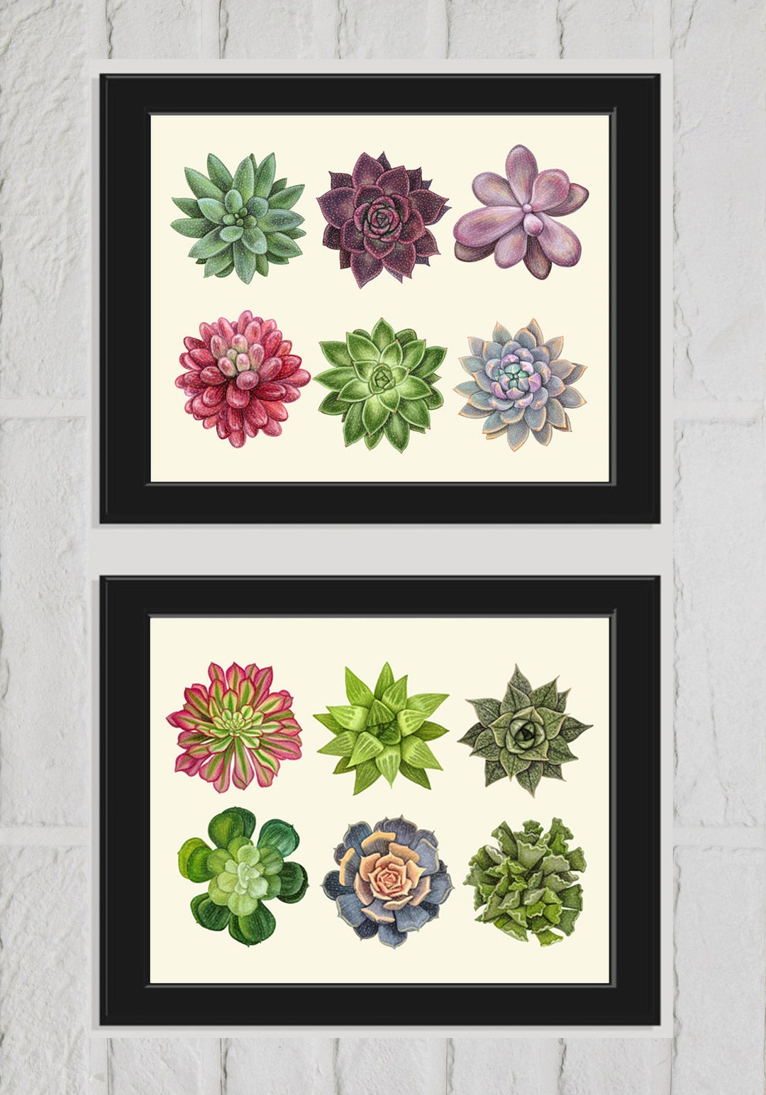 Succulents Botanical Wall Art Print Set of 2 Prints Beautiful Tropical ...
