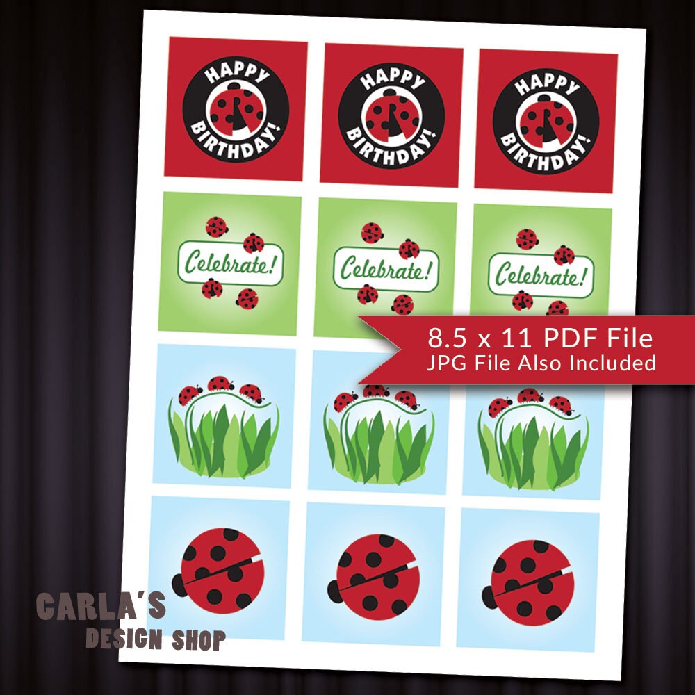 Happy Birthday & Celebrate Ladybug Cake Toppers | Red and Black Ladybug ...