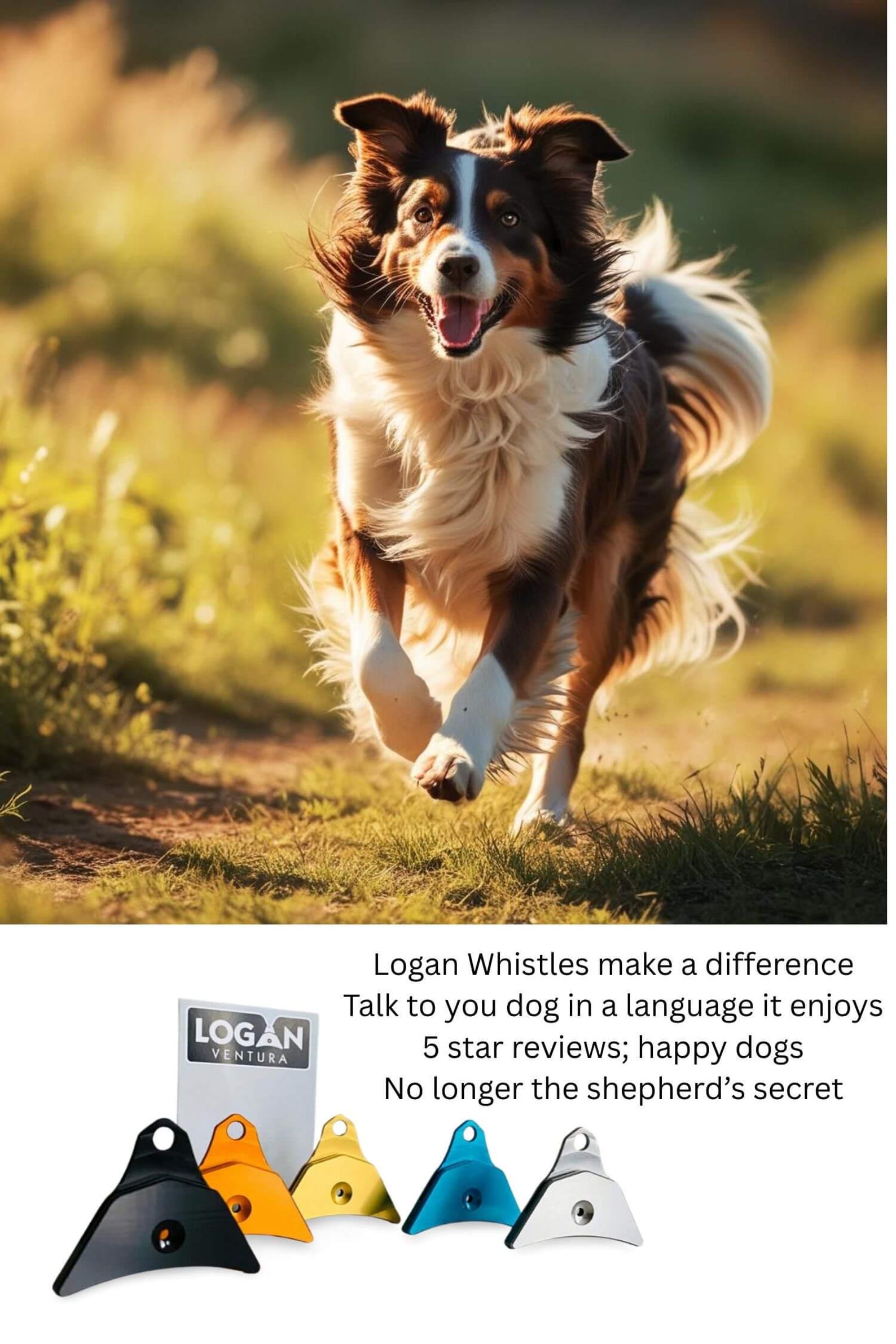 Logan Ventura Whistle - Sheep Dog Training Whistle - Etsy