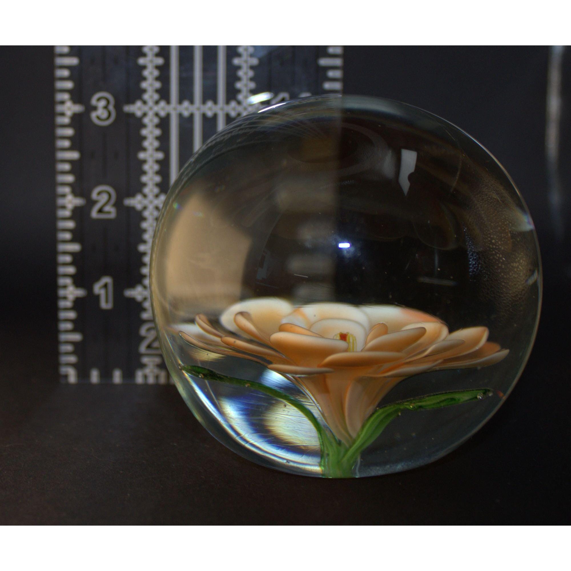 Handcrafted Glass Paperweight With Encased Orange & Cream Flower Design ...