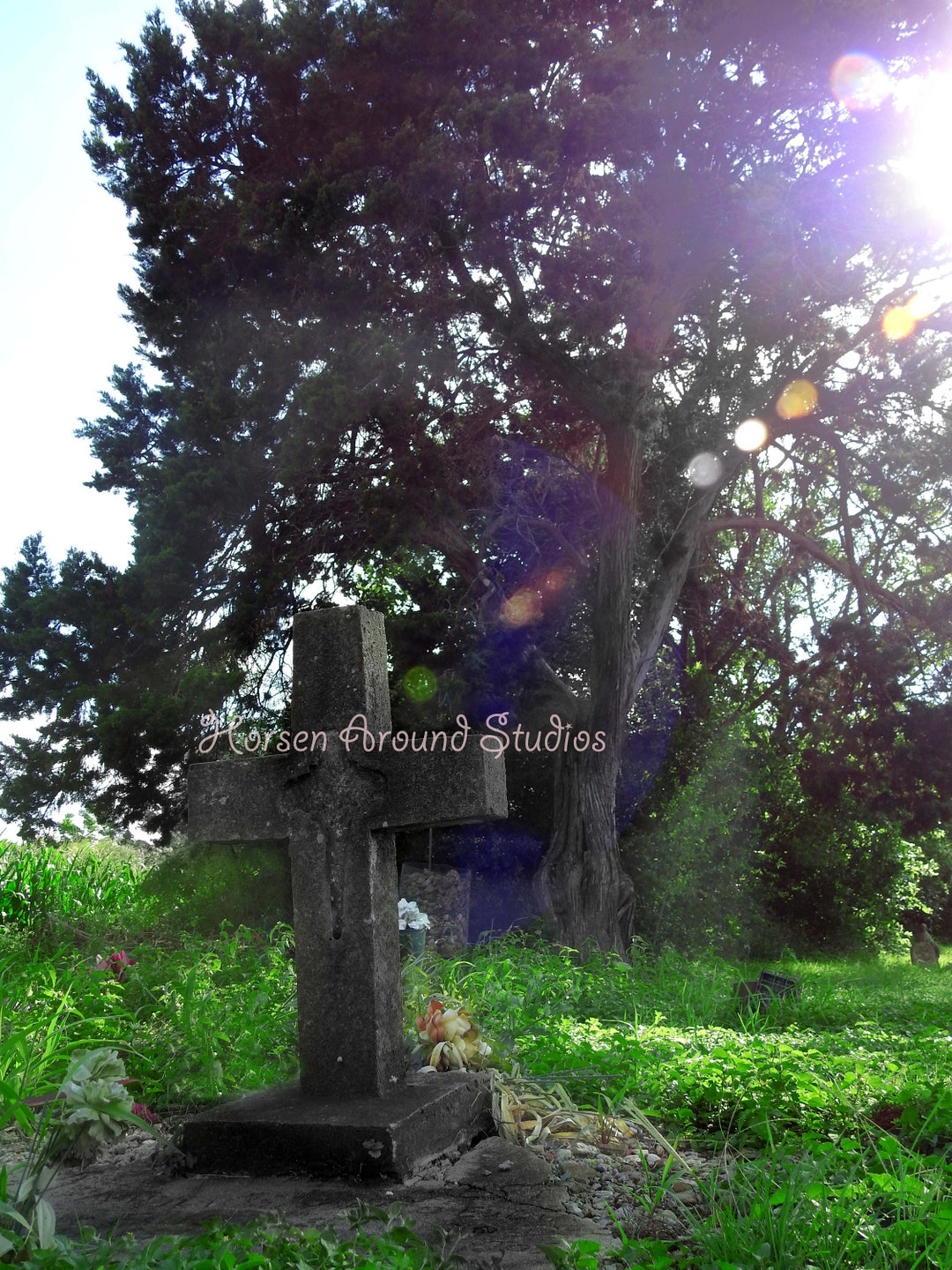 Portal Tree - Etsy