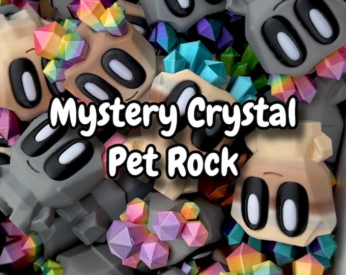 Mystery Crystal Pet Rock - Etsy
