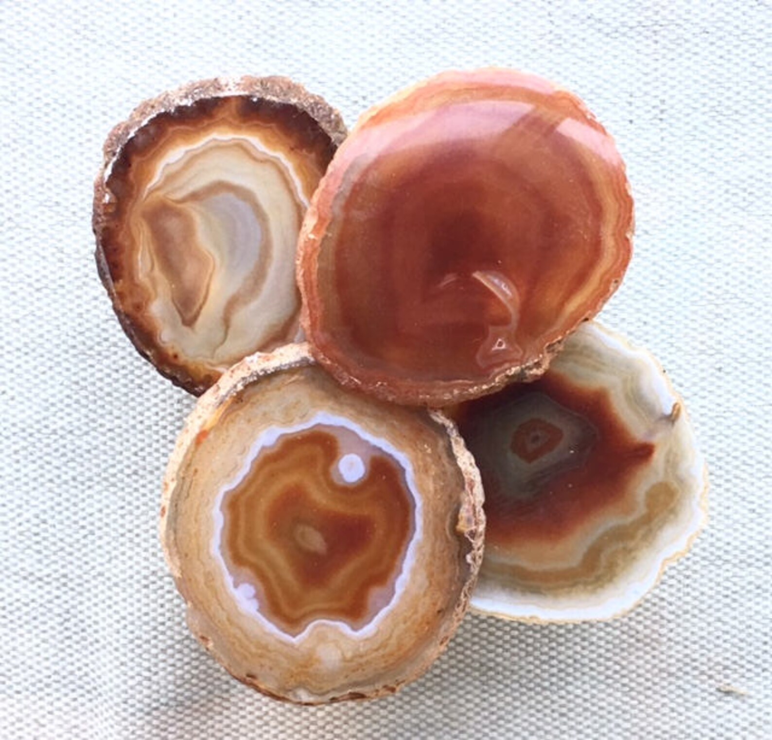 NEW Large Size Amber Colored Brazilian Agate Slice With NO - Etsy