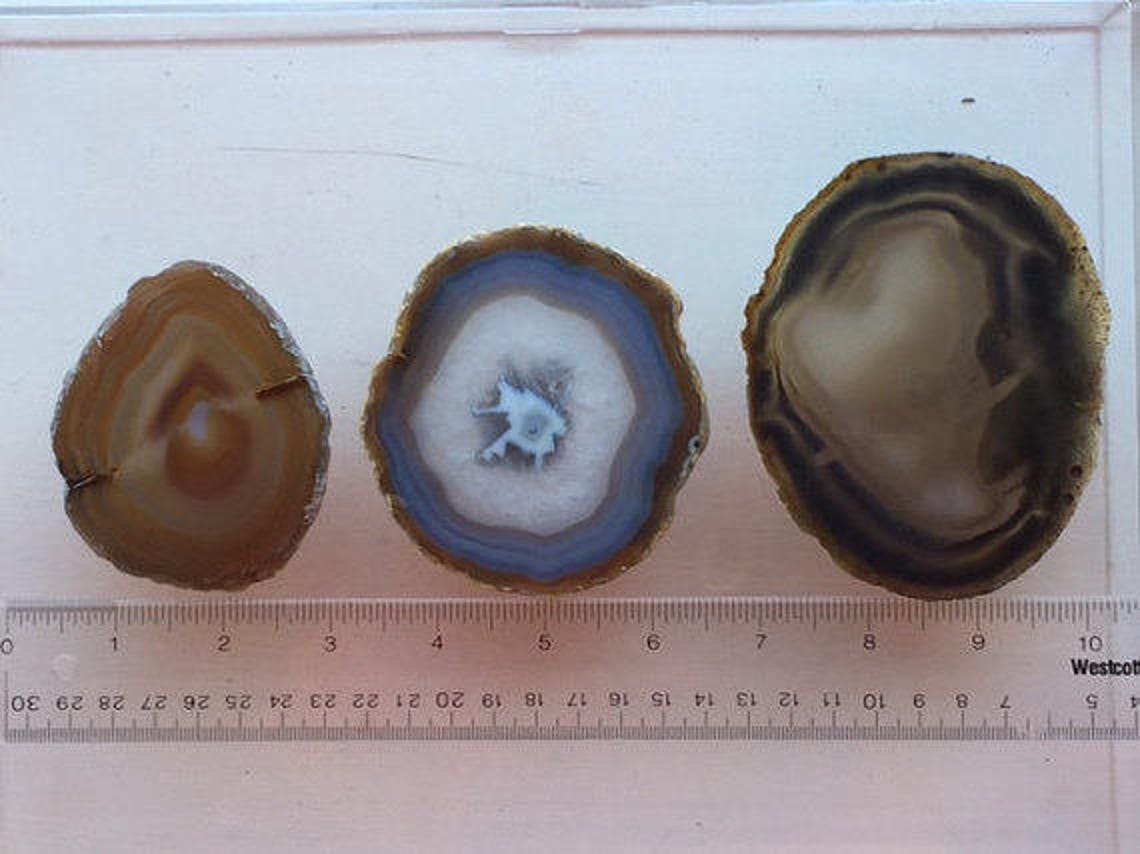 NEW Large Size Amber Colored Brazilian Agate Slice With NO - Etsy