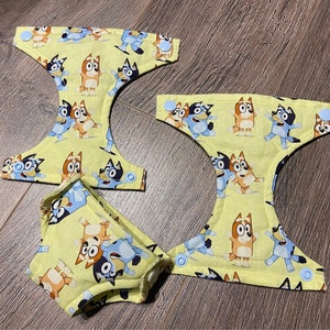 Bluey Dolly Diapers 11 to 13"- Single Diapers - Etsy