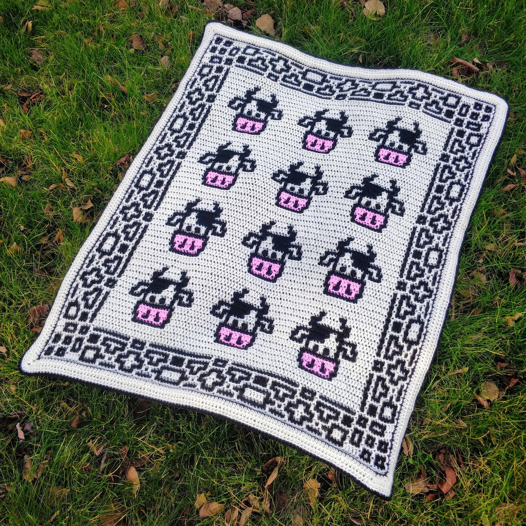 Crochet Pattern Blanket Crochet Baby Blanket Easy Pattern Cute Blanket ...