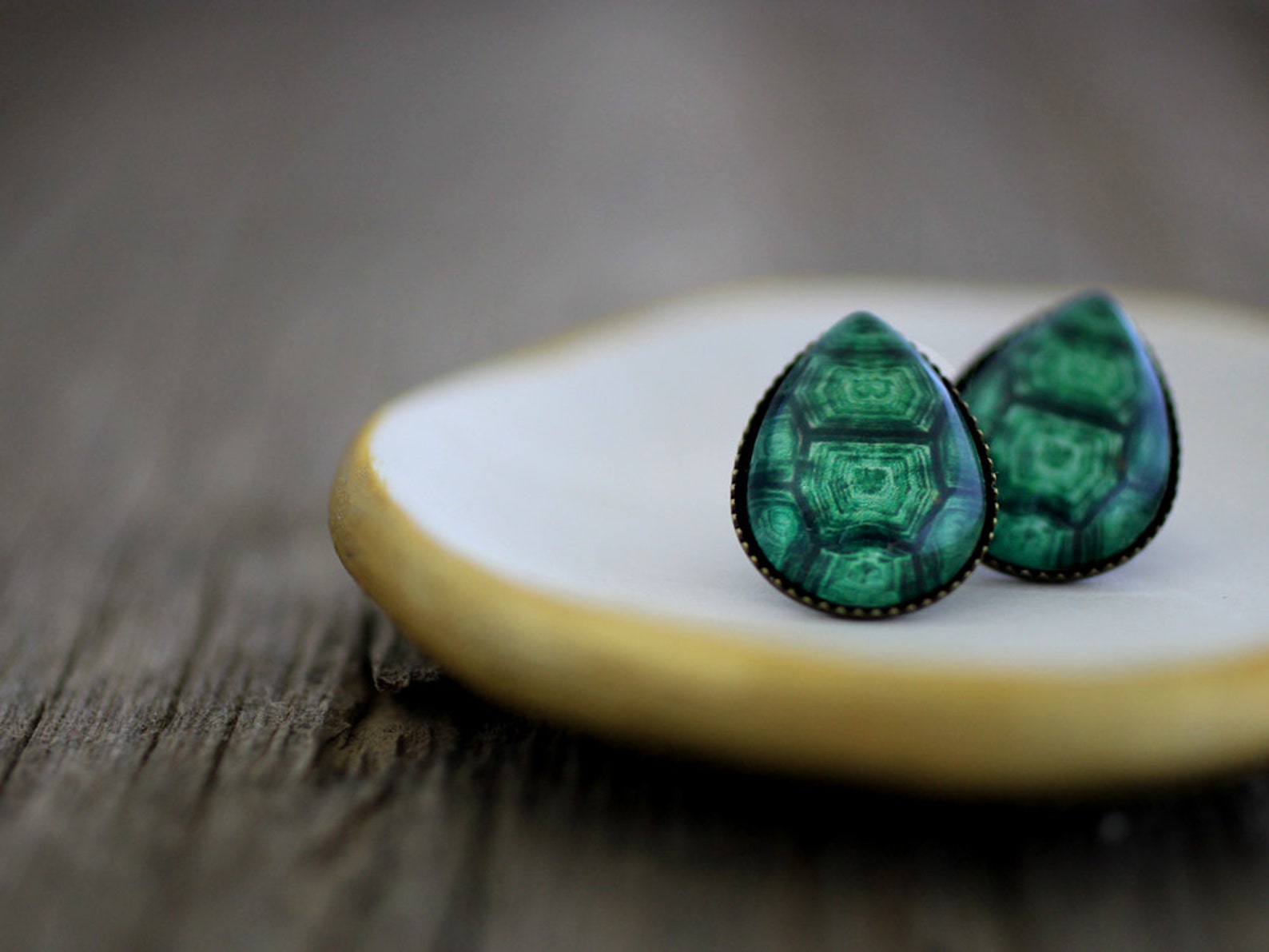 Turtle Turtle Earrings Turtle Shell Earrings Turtle Studs | Etsy