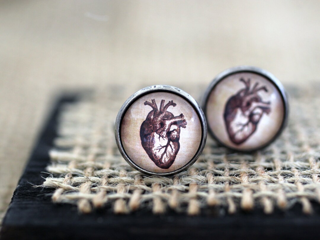 Anatomical Heart Cufflinks, Anatomical Heart, Anatomy Cufflinks ...
