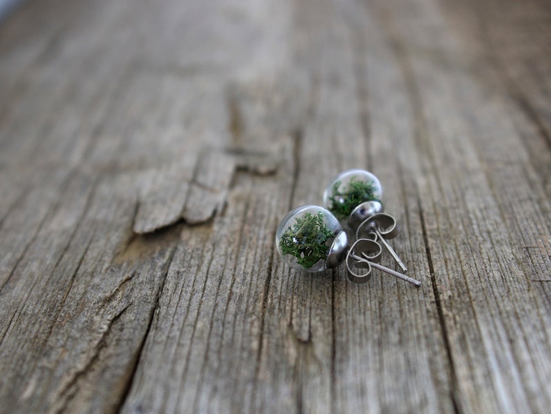 Real Moss Dried Moss Moss Earrings Moss Studs Real Dried | Etsy