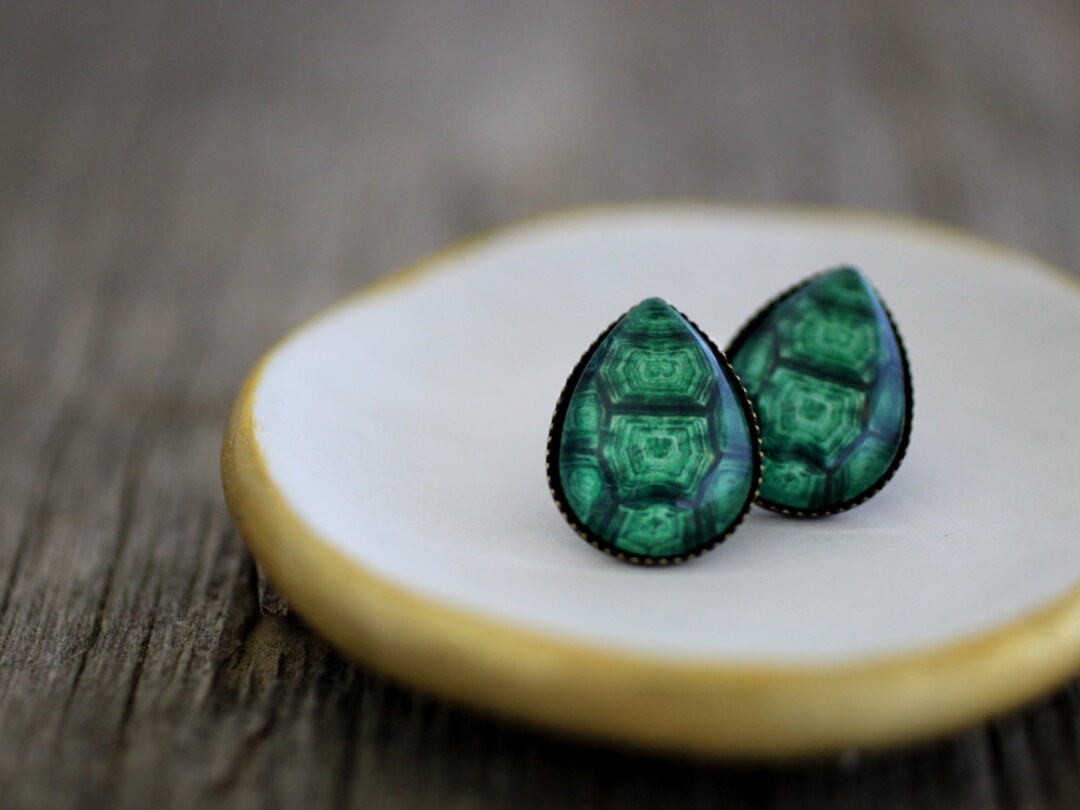 Turtle, Turtle Earrings, Turtle Shell Earrings, Turtle Studs, Turtle ...