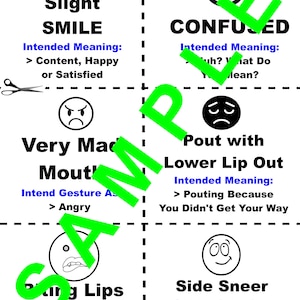 Oral Communication Charades Game: Read Lip Language Clarify & Connect ...