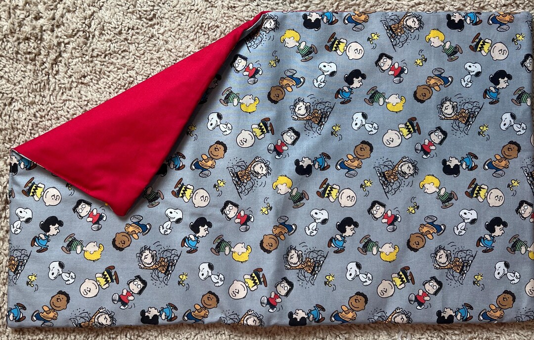 Dog Bed. Crate Mat. Peanuts Gang. Snoopy. Charlie Brown. - Etsy