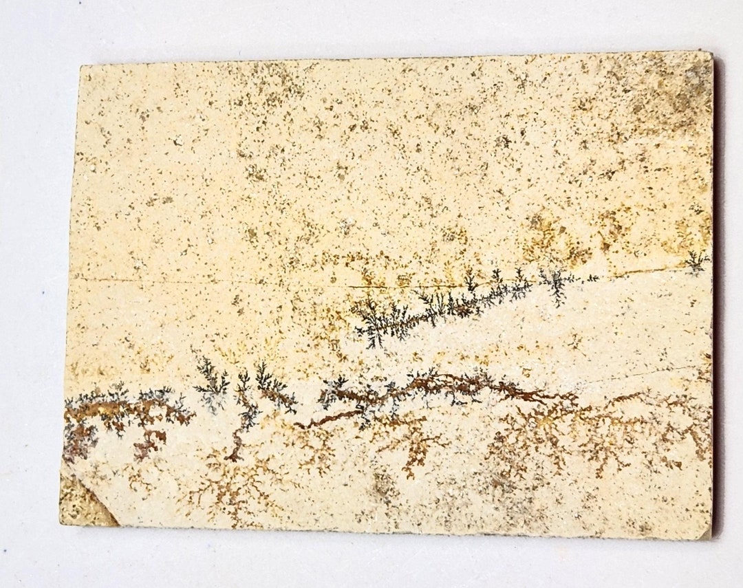 Manganese and Iron Oxide Dendrites From Solnhofen, Germany Specimen ...