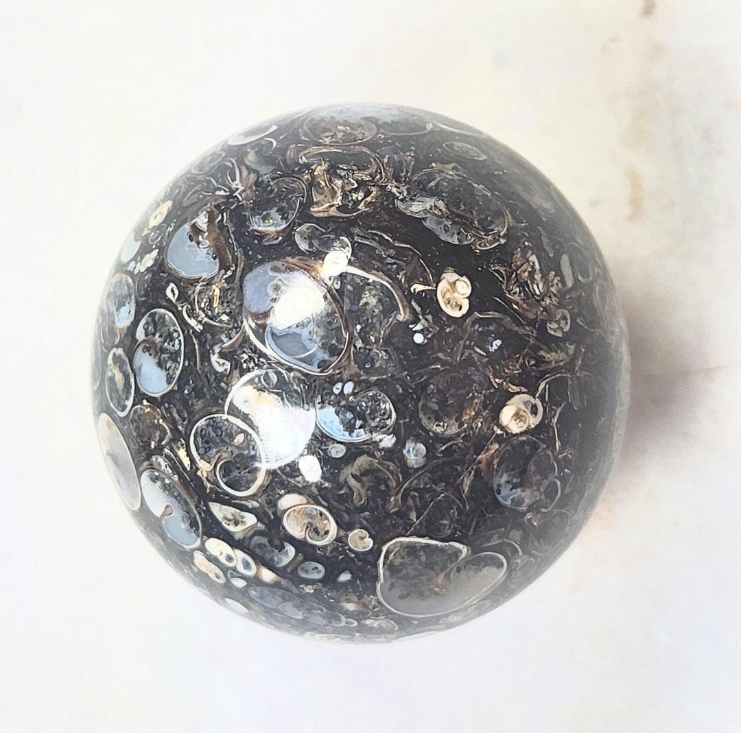 Turritella Agate 35mm Sphere for Home or Office Interior Decor Unique ...