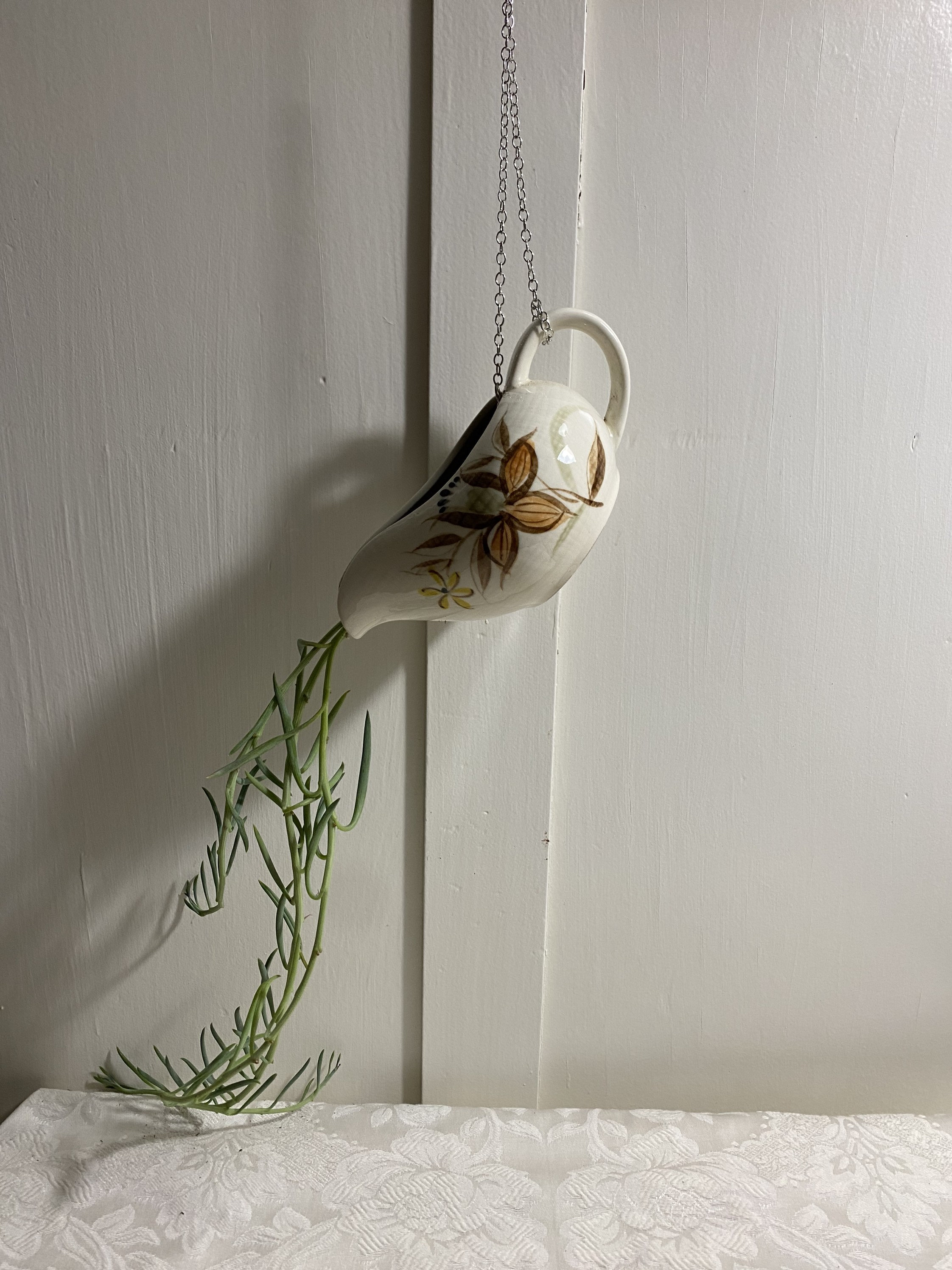 Succulents & Cacti Hanging China Teacup Planter Live String of Bananas ...