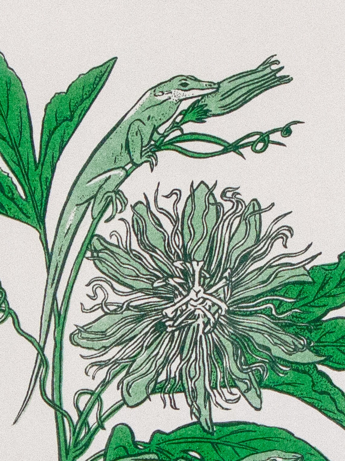 Green Anole Love Small Risograph Art Print | Etsy