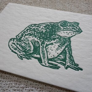 Letterpress Frog and Toad Art Print Collection - Etsy