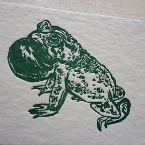 Letterpress Frog and Toad Art Print Collection - Etsy