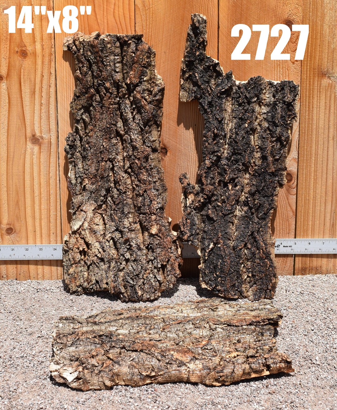 Cork Bark Flats Aquarium Centerpiece WYSIWYG Moss Plant - Etsy