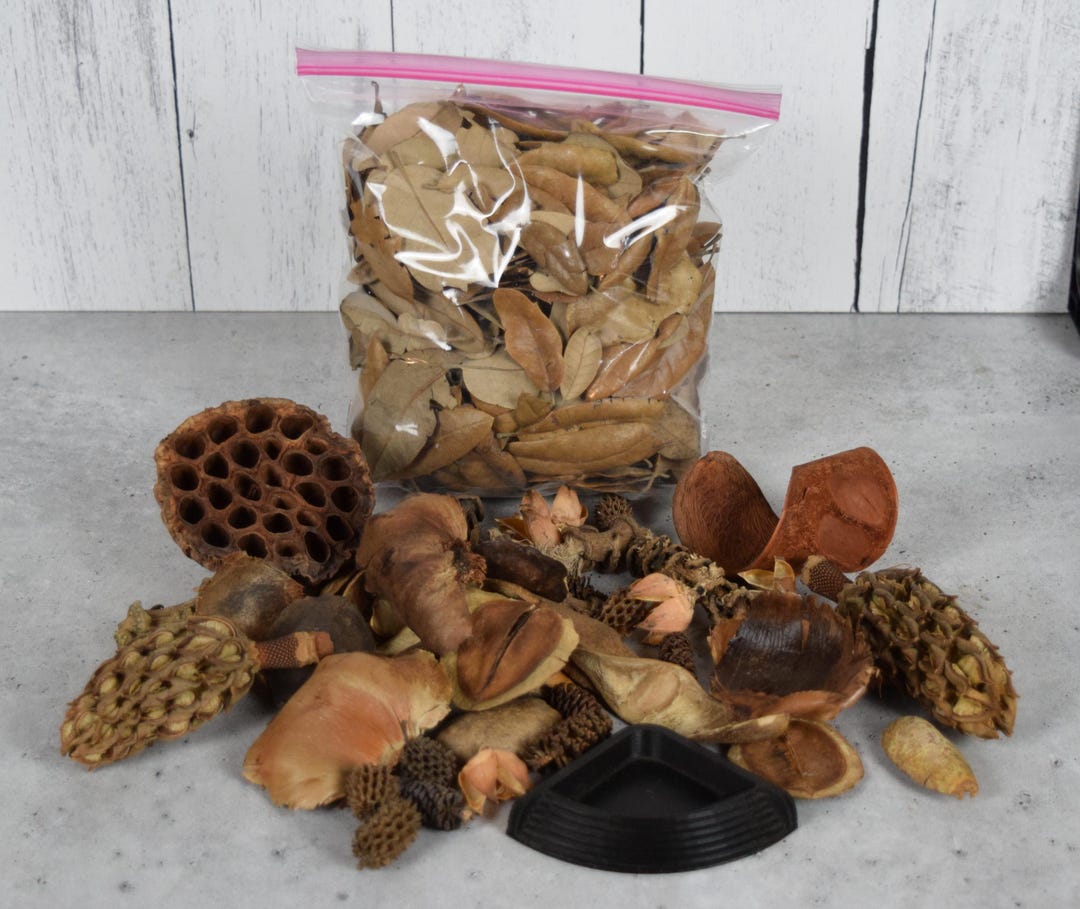 Isopod Starter Kit W/ Pods, Oak Leaf Litter and Feeding Station BEST ...