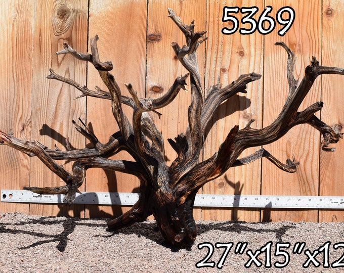 13 Manzanita Base With Roots, Aquarium Wood, Terrarium Tank Decor ...