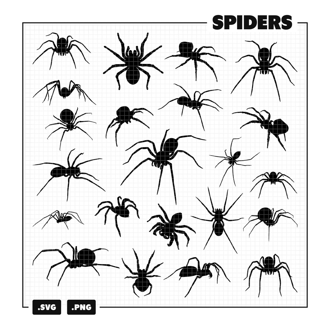 22 Detailed Spider Pictographs (.SVG, .PNG) - Great for Crafts and ...