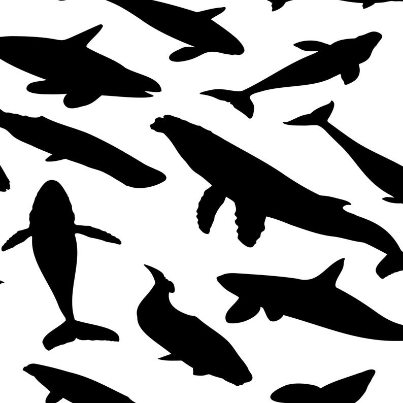 20 detaillierte Wal-Piktogramme (.SVG, .PNG) - Ideal für Bastelarbeiten ...