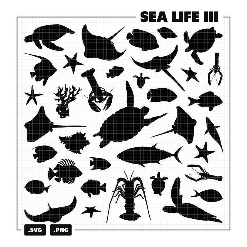 36 Detailed Sea Life III Pictographs .SVG, .PNG Great for Crafts and ...