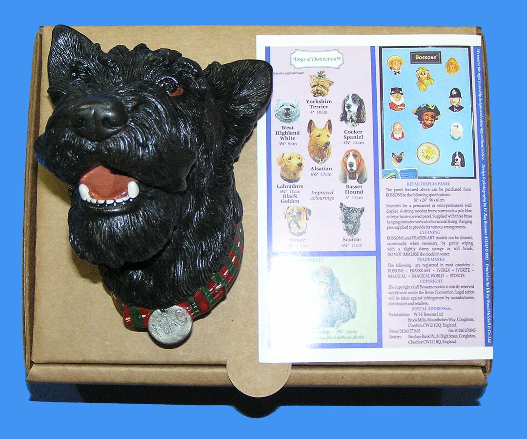 Vintage Bossons Head Rare Scottie Dog Excellent Condition With Box ...
