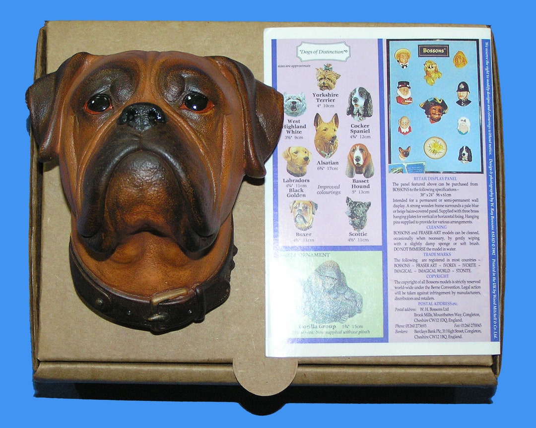 Vintage Bossons Head Rare Boxer Dog Excellent Condition With - Etsy