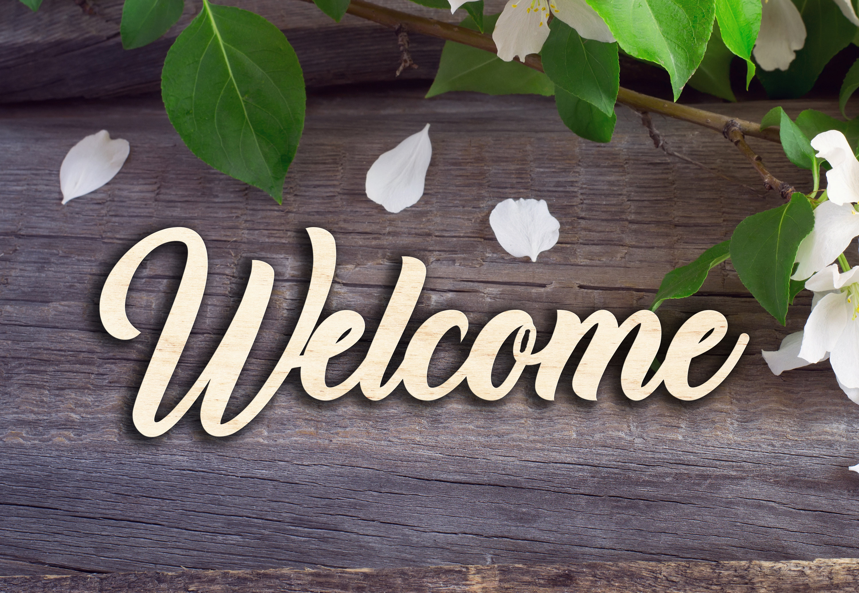 Welcome Word - Laser Cut Patterns - Etsy