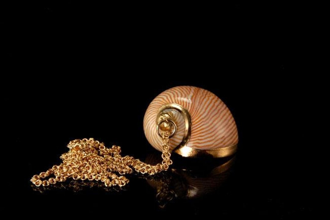Vintage Real Exotic Shell Gilt Silver Necklace - Etsy