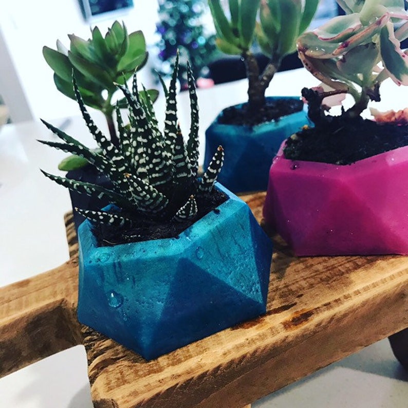 RESIN Faceted Succulent Holder/tea Light - Etsy