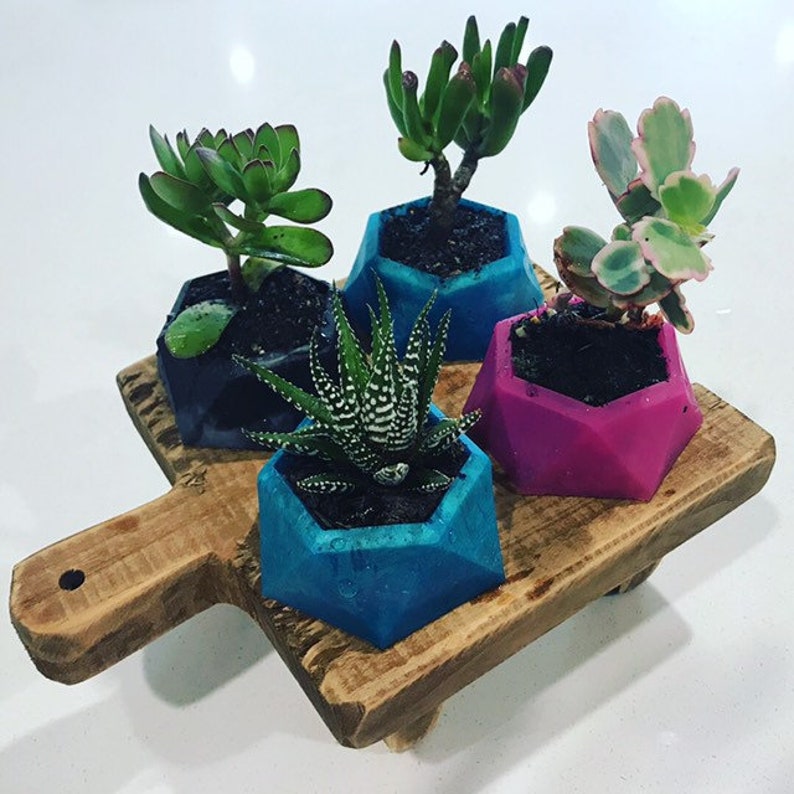 RESIN Faceted Succulent Holder/tea Light - Etsy