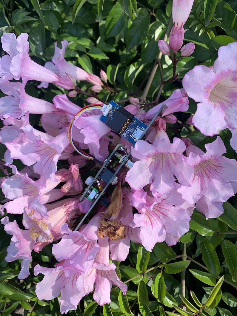 Capy eurorack Video/audio Capture Module - Etsy