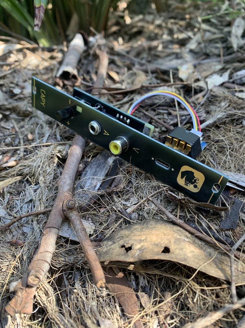 Capy eurorack Video/audio Capture Module - Etsy