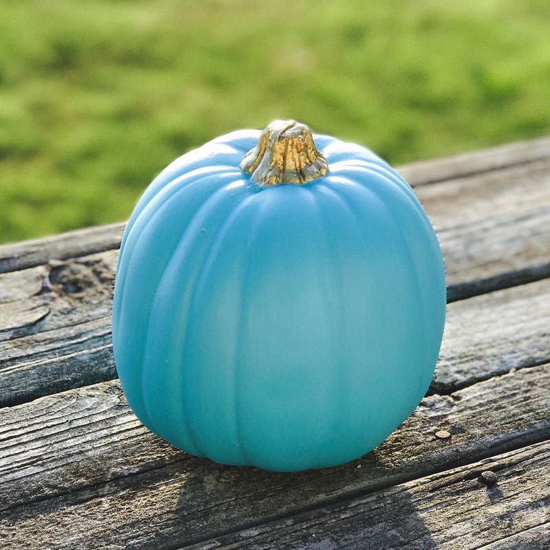 Teal Pumpkin - Etsy
