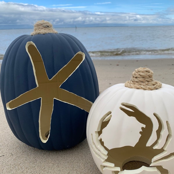 Starfish Pumpkin - Etsy