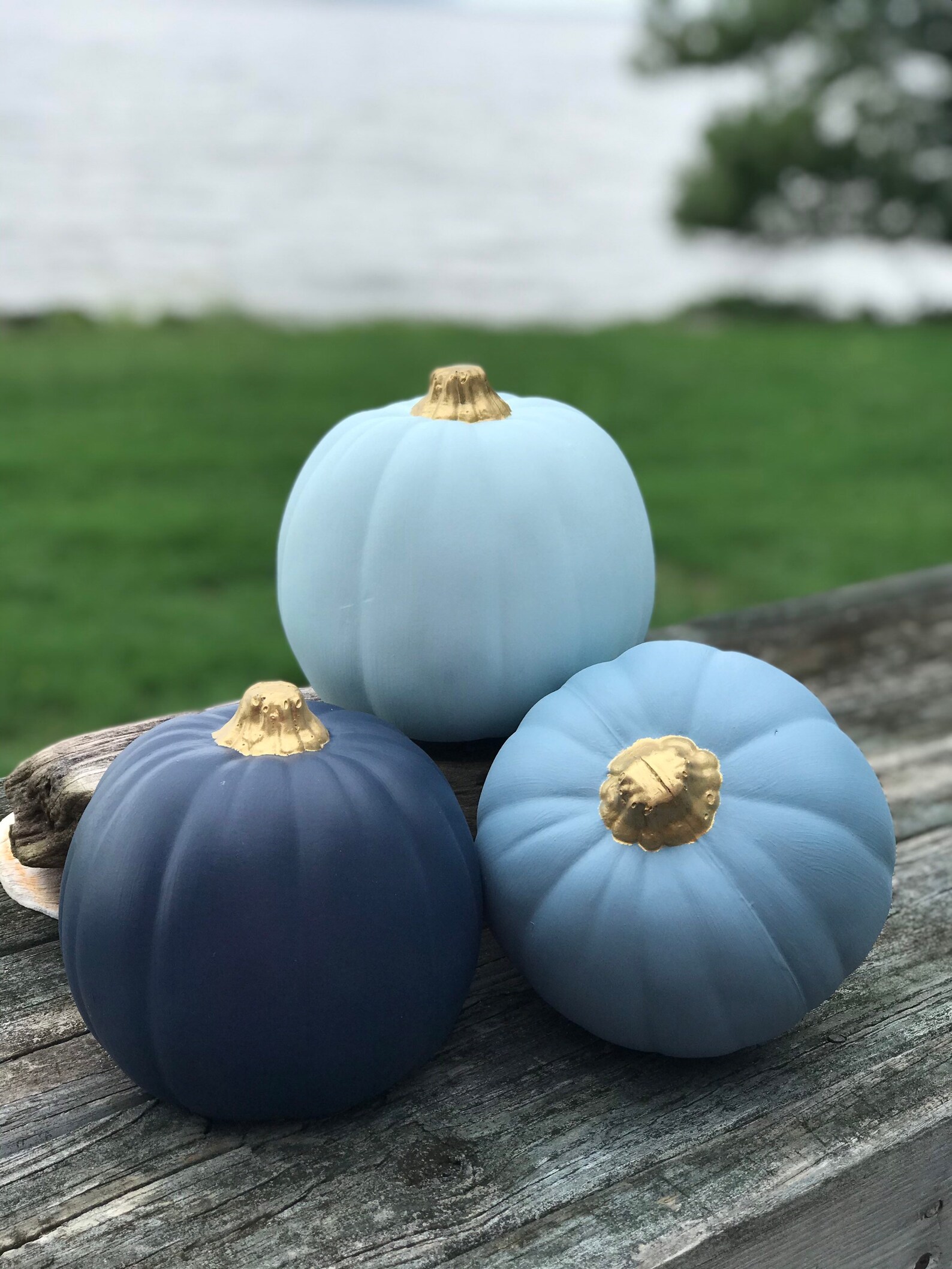 NEW Small Blue Gray Pumpkin Nautical Coastal Beach Halloween | Etsy