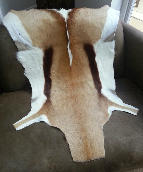 Stunning MEDIUM/LARGE Springbok Rug Throw Skin Pelt Hide | Etsy UK