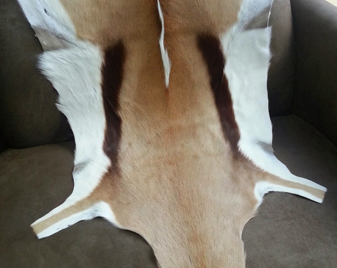Stunning MEDIUM/LARGE Springbok Rug Throw Skin Pelt Hide - Etsy UK
